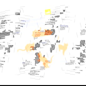 Cat Body Language | Cat Behaviour Help & Advice