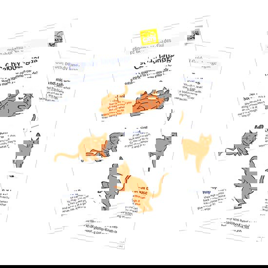 Cat Body Language | Cat Behaviour Help & Advice