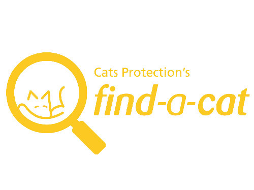 Choosing the Right Cat For You | Cats Protection